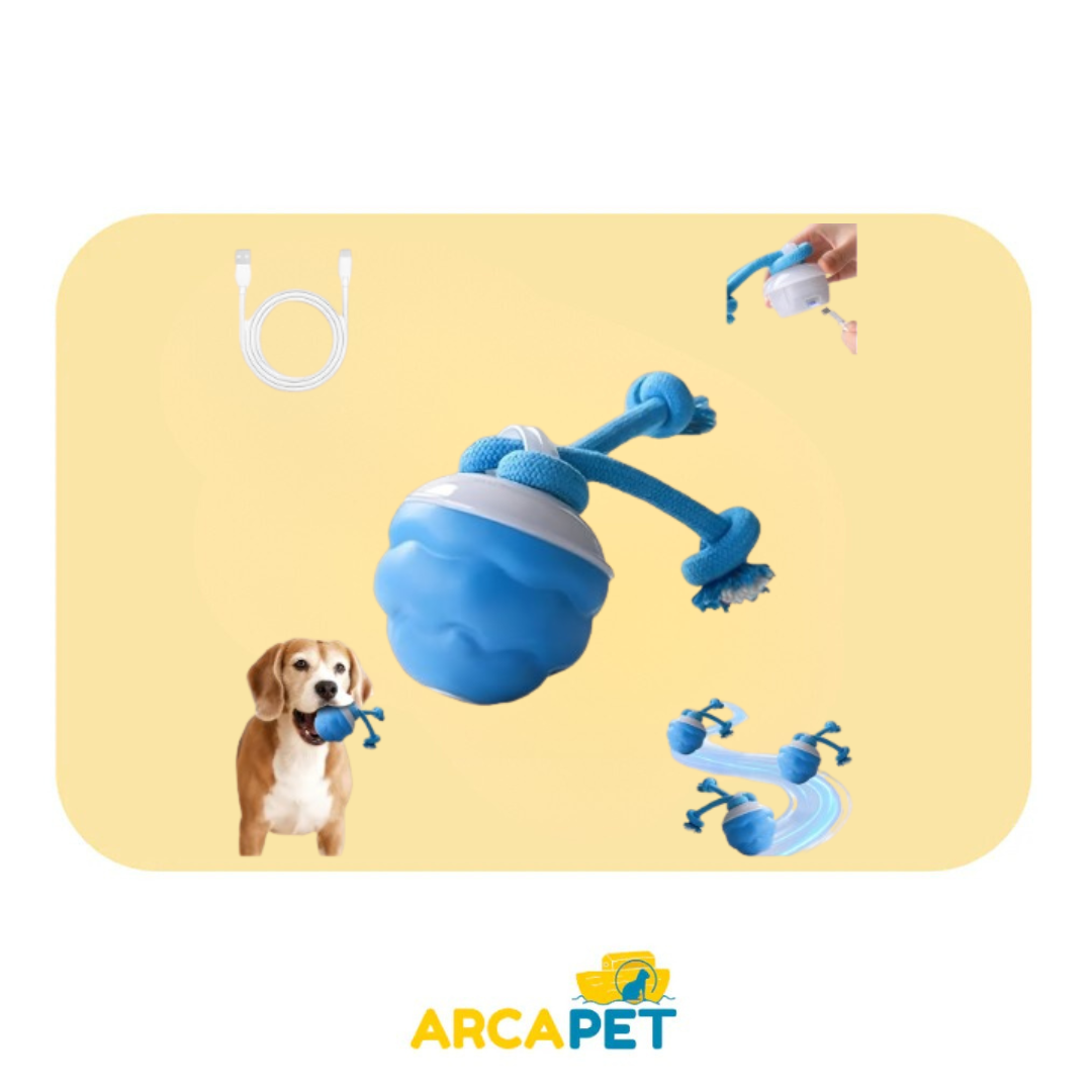 Pelota rebotadora – Arca Pet chile